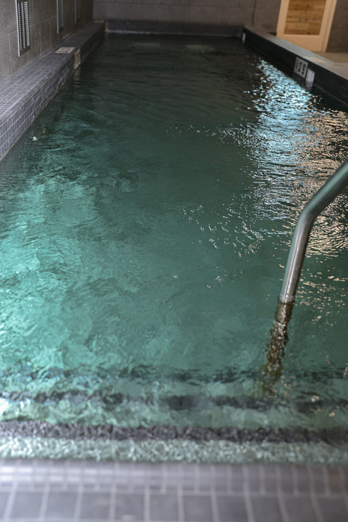 Sky Spa Sauna Gallery | 1501 Busch Pkwy | Buffalo Grove, IL 60089